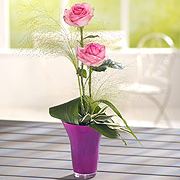 Midsummer Night's Dream | Summer Flowers | Rays Florist