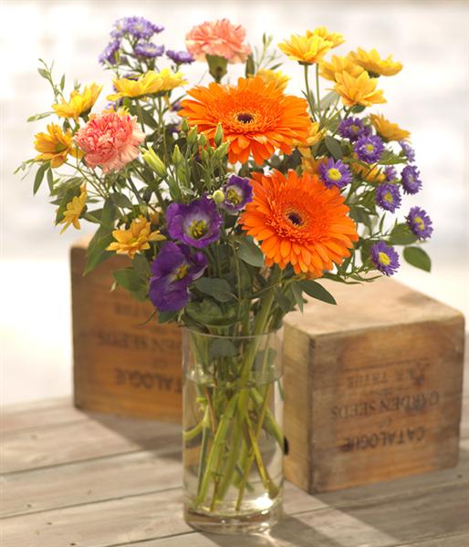 Summer Carousel | Summer Flowers | Rays Florist