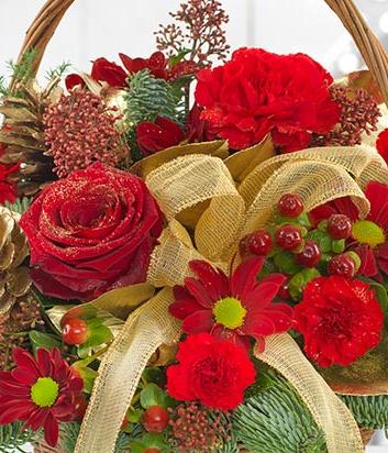 Basket of christmas flowers store