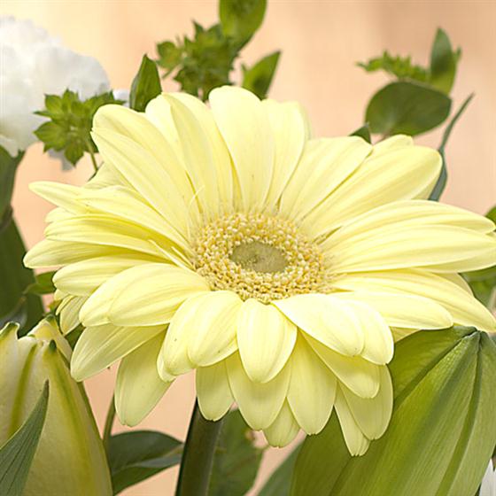 Purity Flower Bouquet | Rays Florist Aldershot 01252 311966