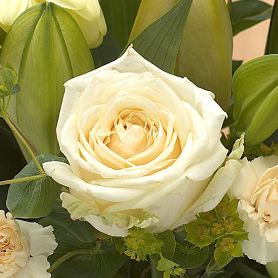 Purity Flower Bouquet | Rays Florist Aldershot 01252 311966