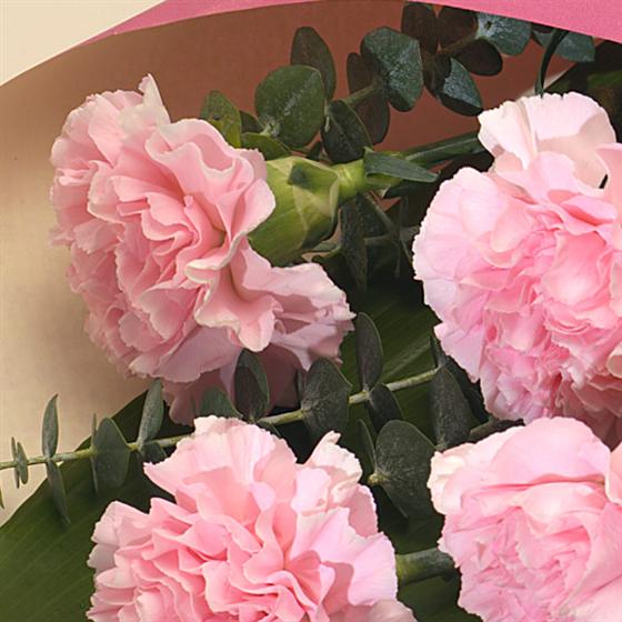 Strawberry Shortcake Carnation Bouquet | Flowers Delivered by Rays